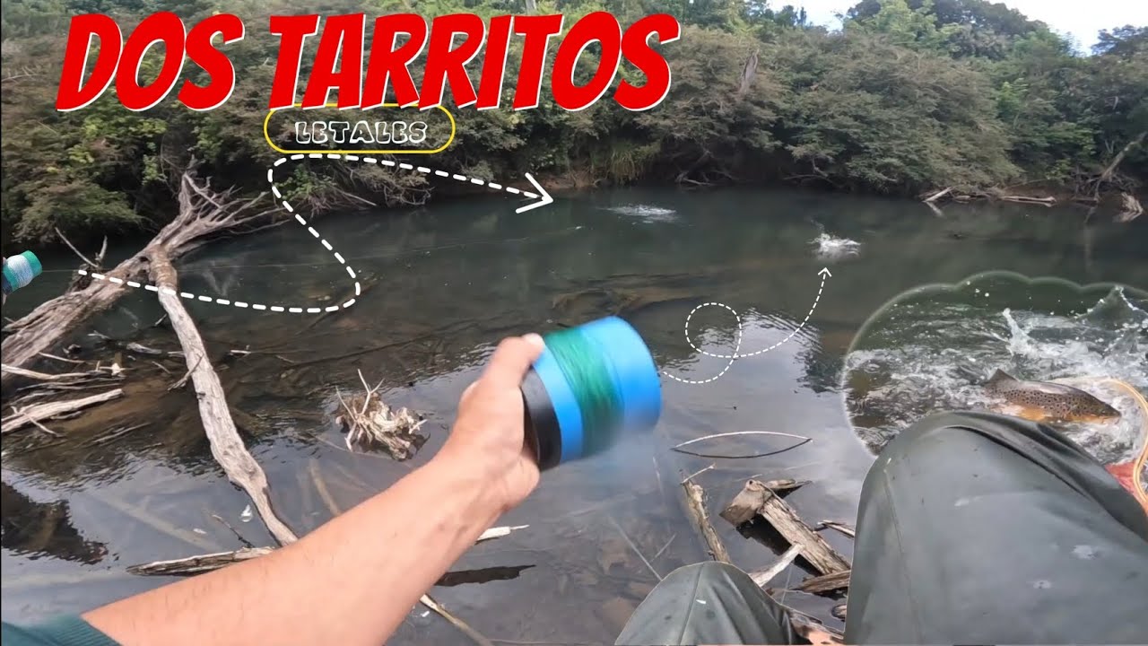 Pesca de Truchas Farios y Exploración de rio qué tenia una montaña de ...