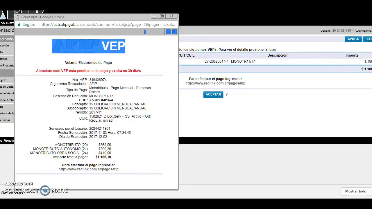 Pago VEP Red Link - YouTube