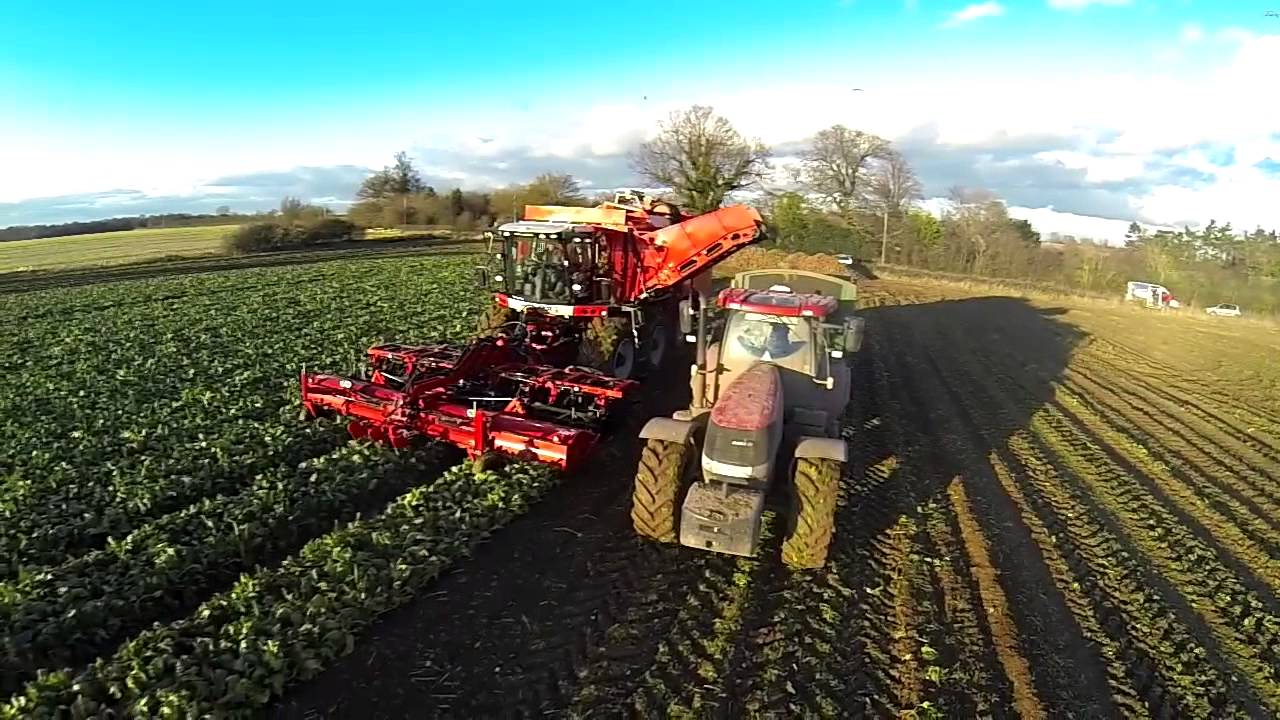 Agrifac 12 row sugar beet harvester HexxTraxx - YouTube