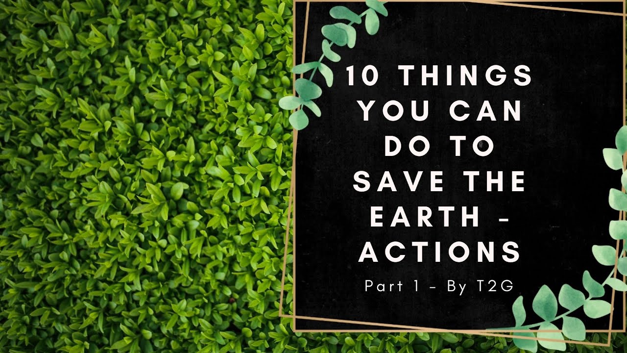 10 things you Can do to save the Earth - EARTH DAY SPECIAL! - YouTube