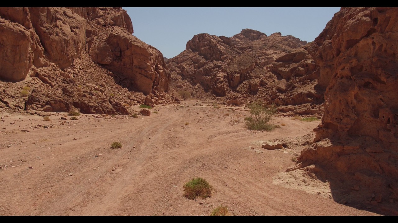 Elim oasis - #8 - YouTube