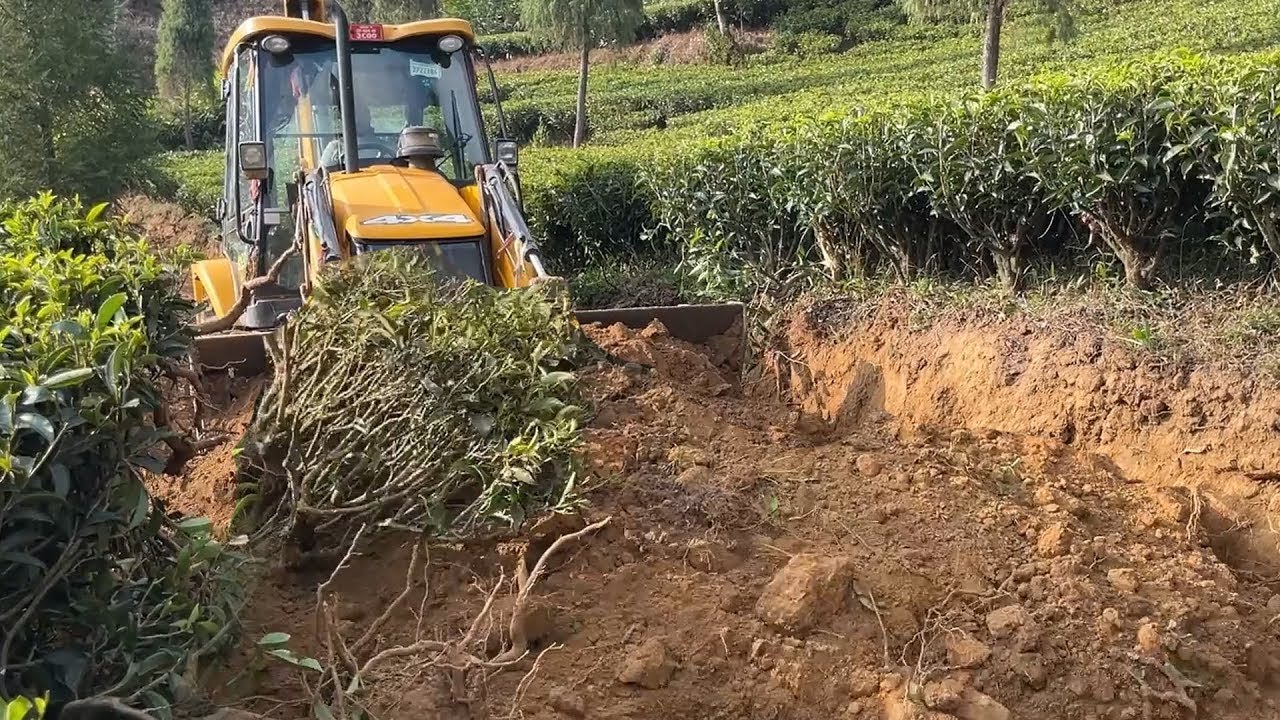 Between Two Mountains Making a Farm Alley with JCB Backhoe - YouTube