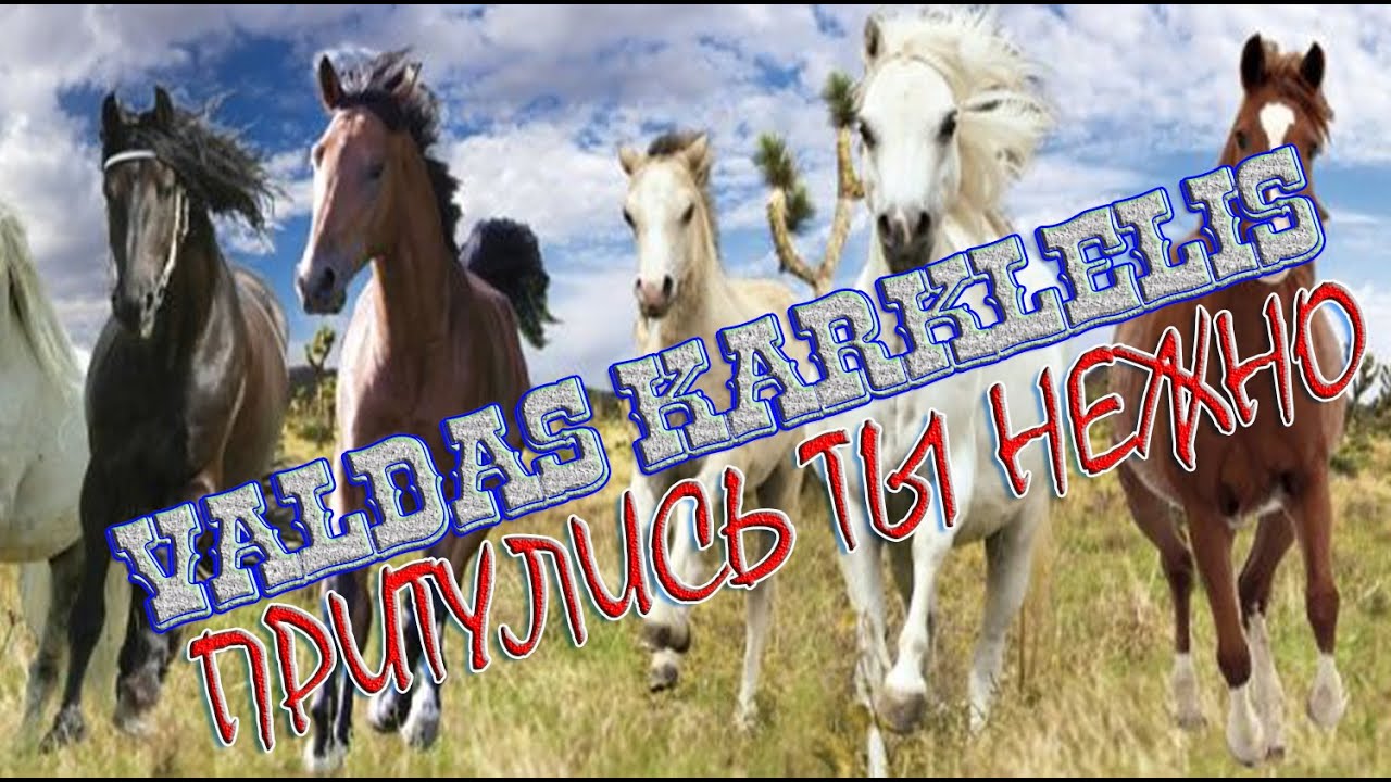 VALDAS KARKLELIS - ПРИТУЛИСЬ ТЫ НЕЖНО (original song, live, guitar ...