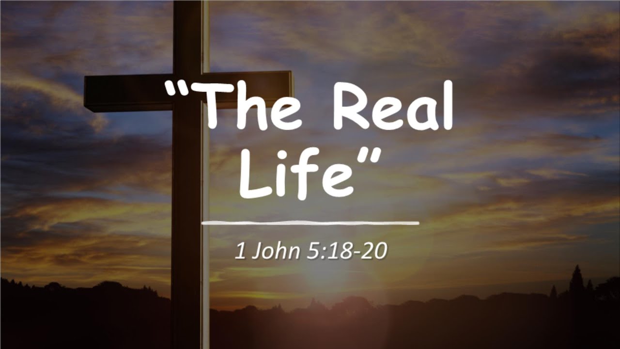 The Real Life - YouTube