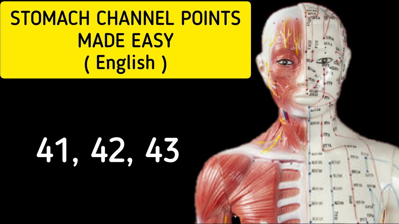 Stomach Channel Points - Stomach 41, 42, 43 (English) - YouTube