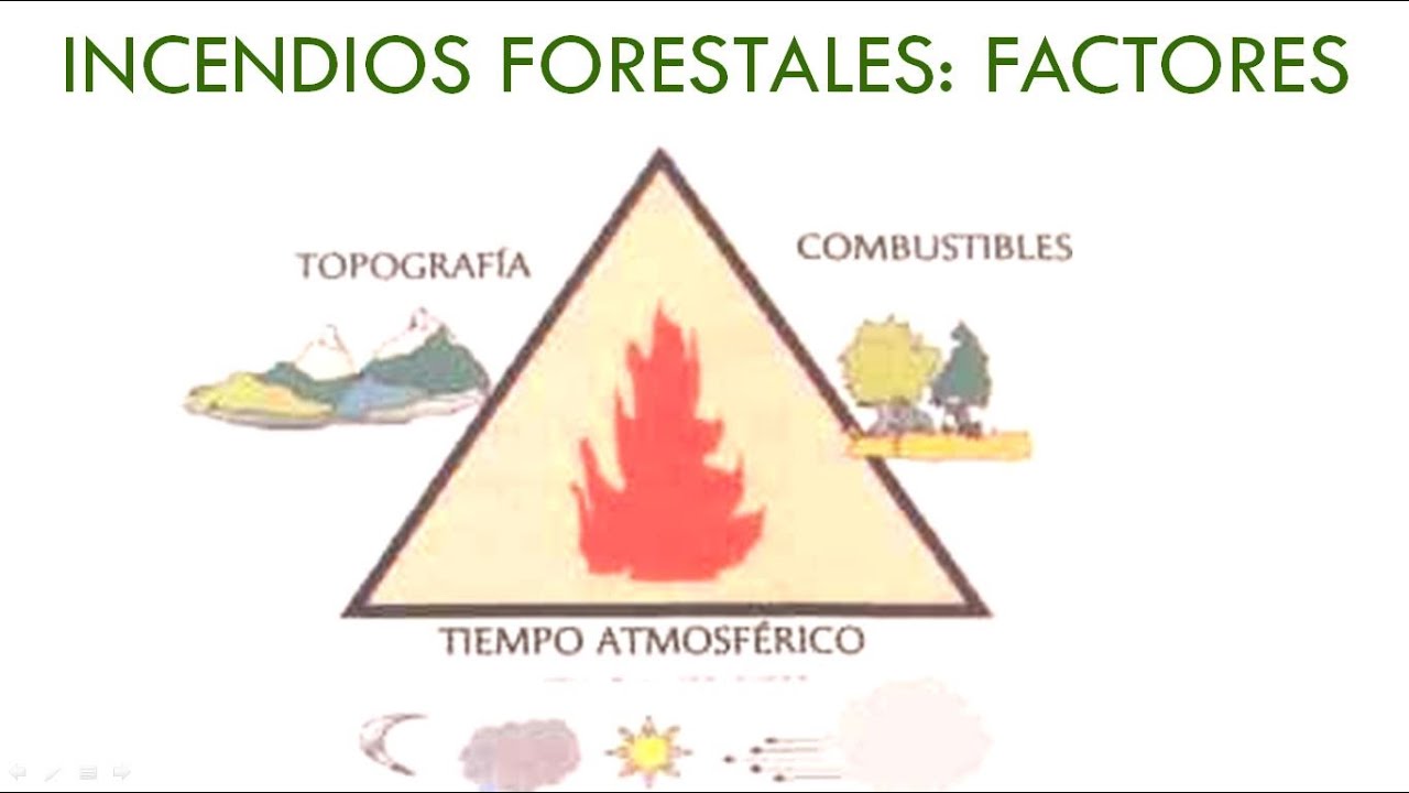 INCENDIOS FORESTALES: FACTORES - YouTube