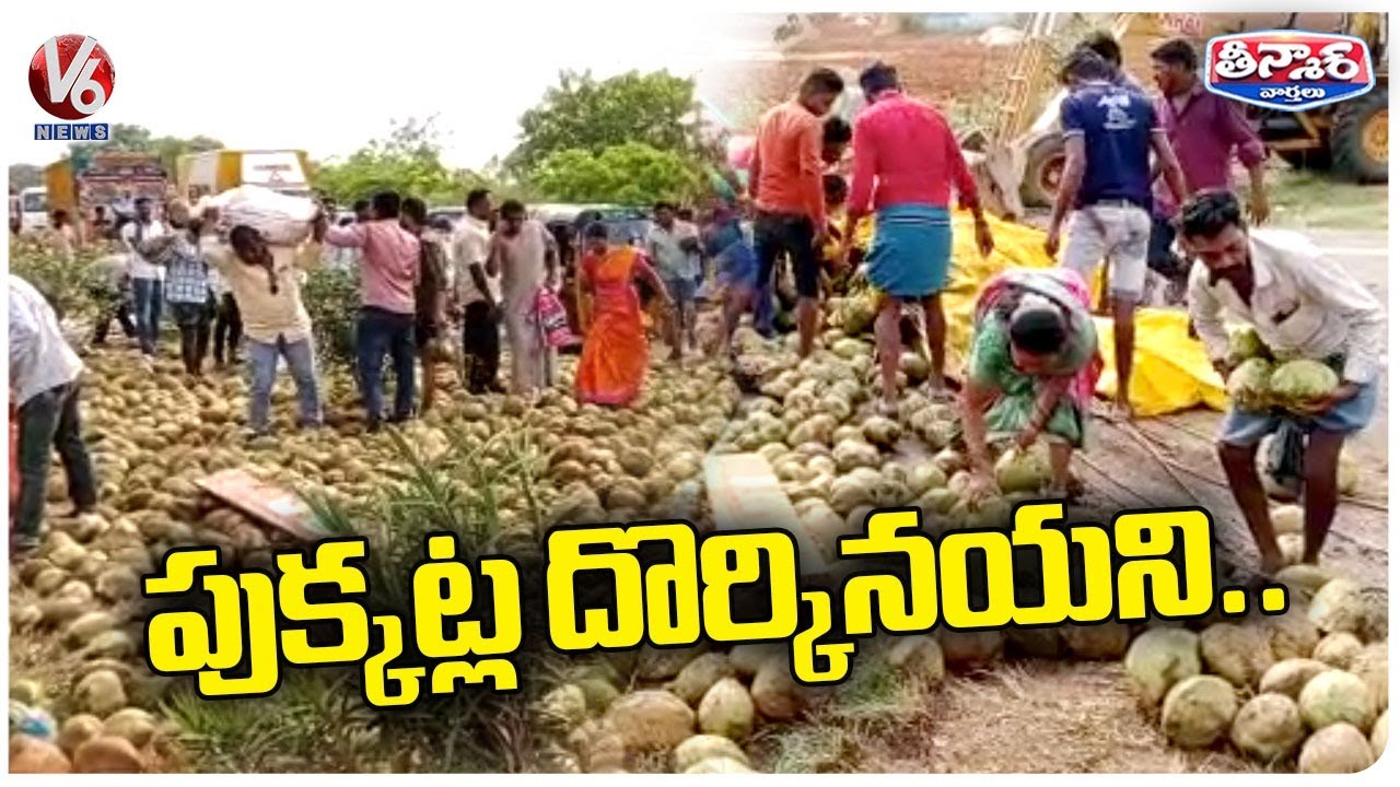 Coconut Carrying Lorry Rollover At Nandyal, Public Jumped Up For ...
