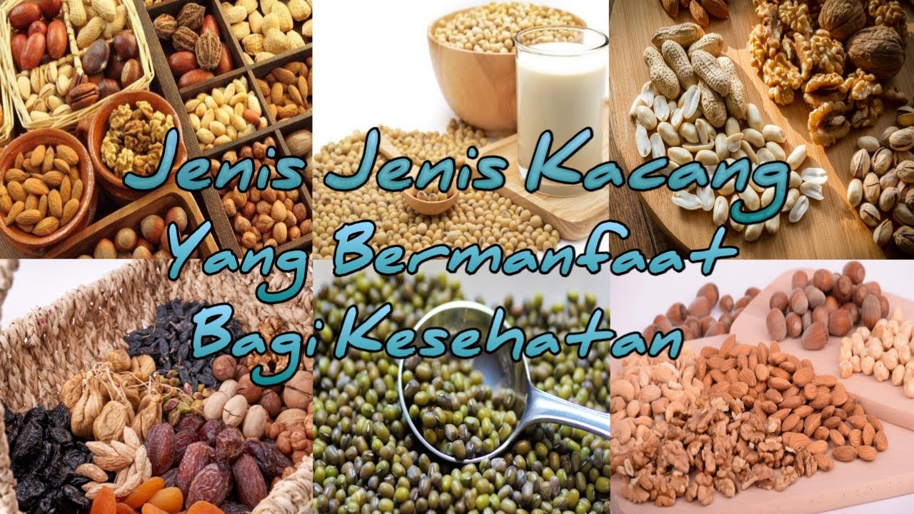 jenis jenis kacang yang bermanfaat - YouTube