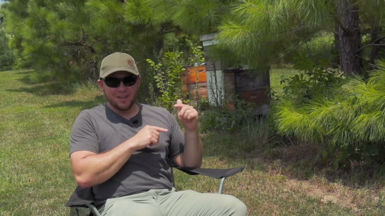 Pro-Level Queen Introduction (Cory Stevens Interview Part 5) - YouTube