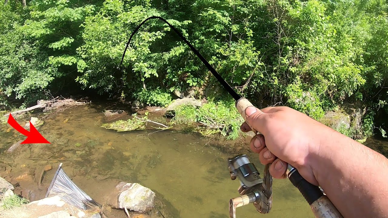 Trout Fishing This LOADED Stream!! - YouTube