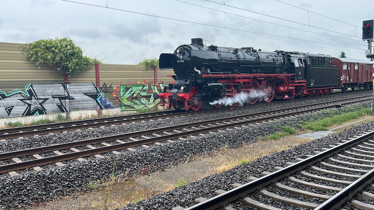 Dampfsonderzug mit 01 1104 auf dem Weg nach Hamburg ...