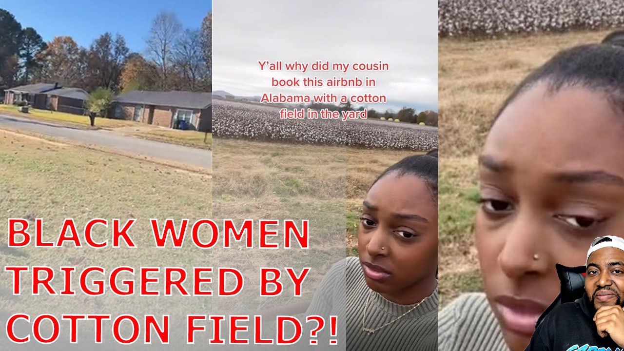 Black Woman Triggered By Cotton Field In Back Yard of Alabama Airbnb ...