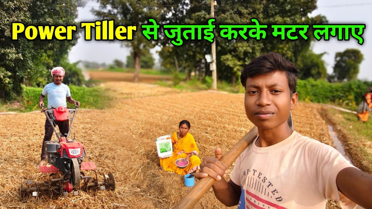 Power Tiller से जुताई करके मटर लगाए || Village Lifestyle Vlog || Daily ...