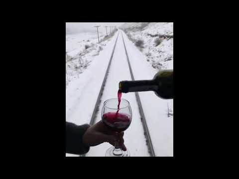 Doğu Ekspresi ve bir kadeh Şarap