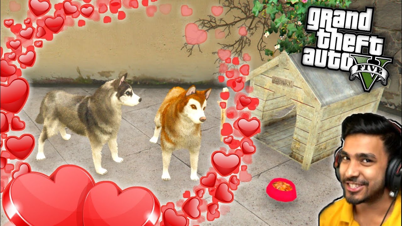 Gta 5 : I Found TECHNO GAMERZ HUSKY PET Real Girlfriend In Gta 5! (mods ...