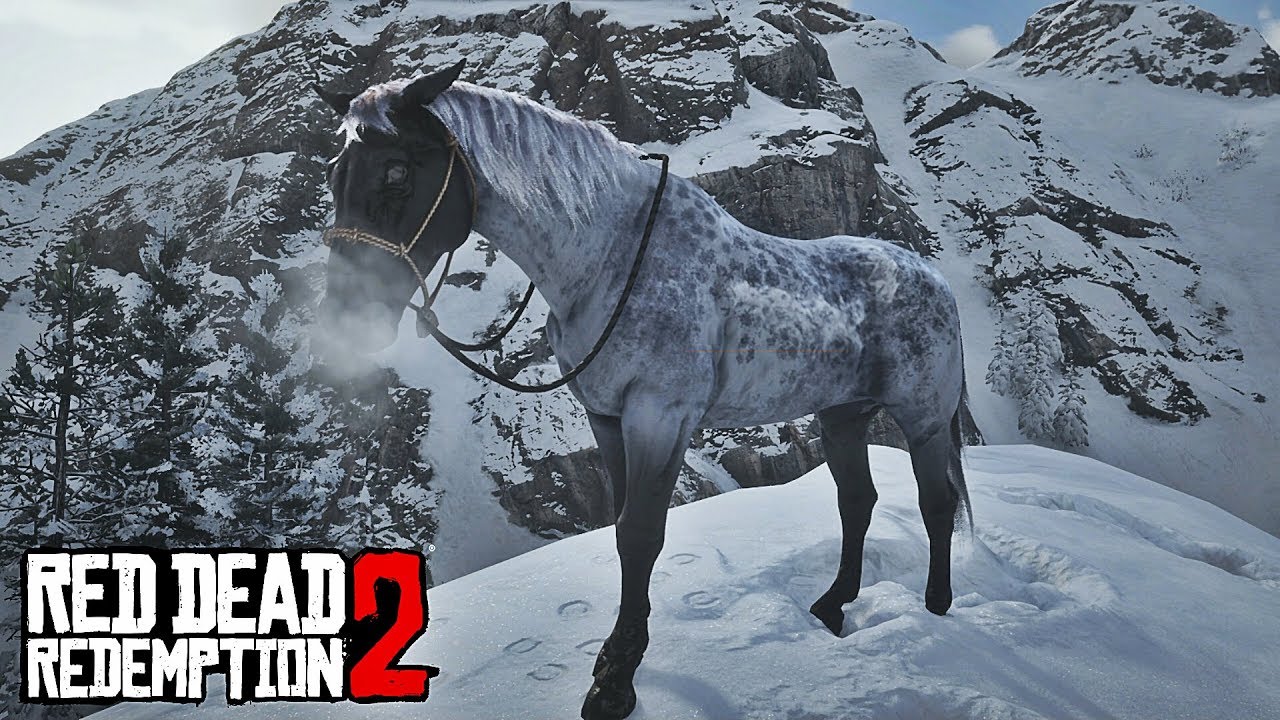 TROUVER CE MAGNIFIQUE CHEVAL DE COURSE! RED DEAD REDEMPTION 2 - YouTube