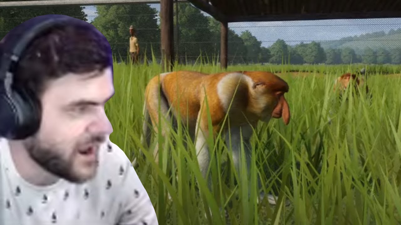DLC z Nosaczami Sundajskimi, prawdziwe POLSKIE ZOO - Planet ZOO - YouTube