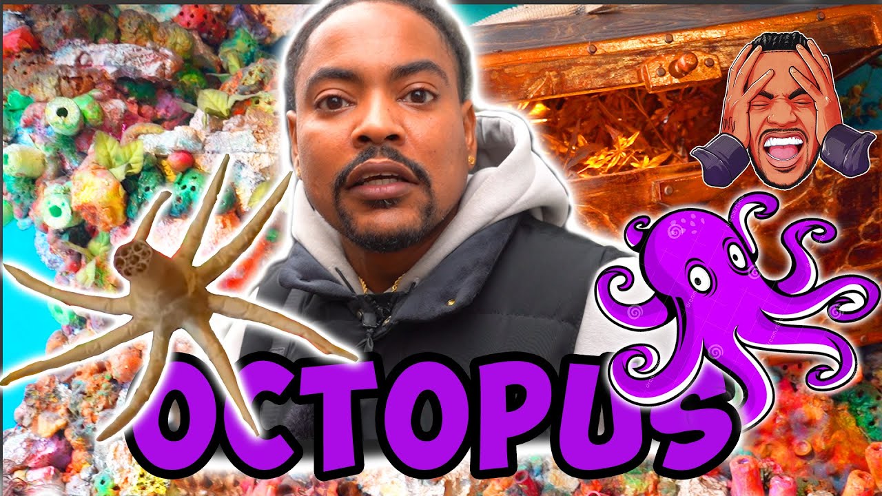 Octopus - Dikke Jonko Donderdag III #3 - YouTube