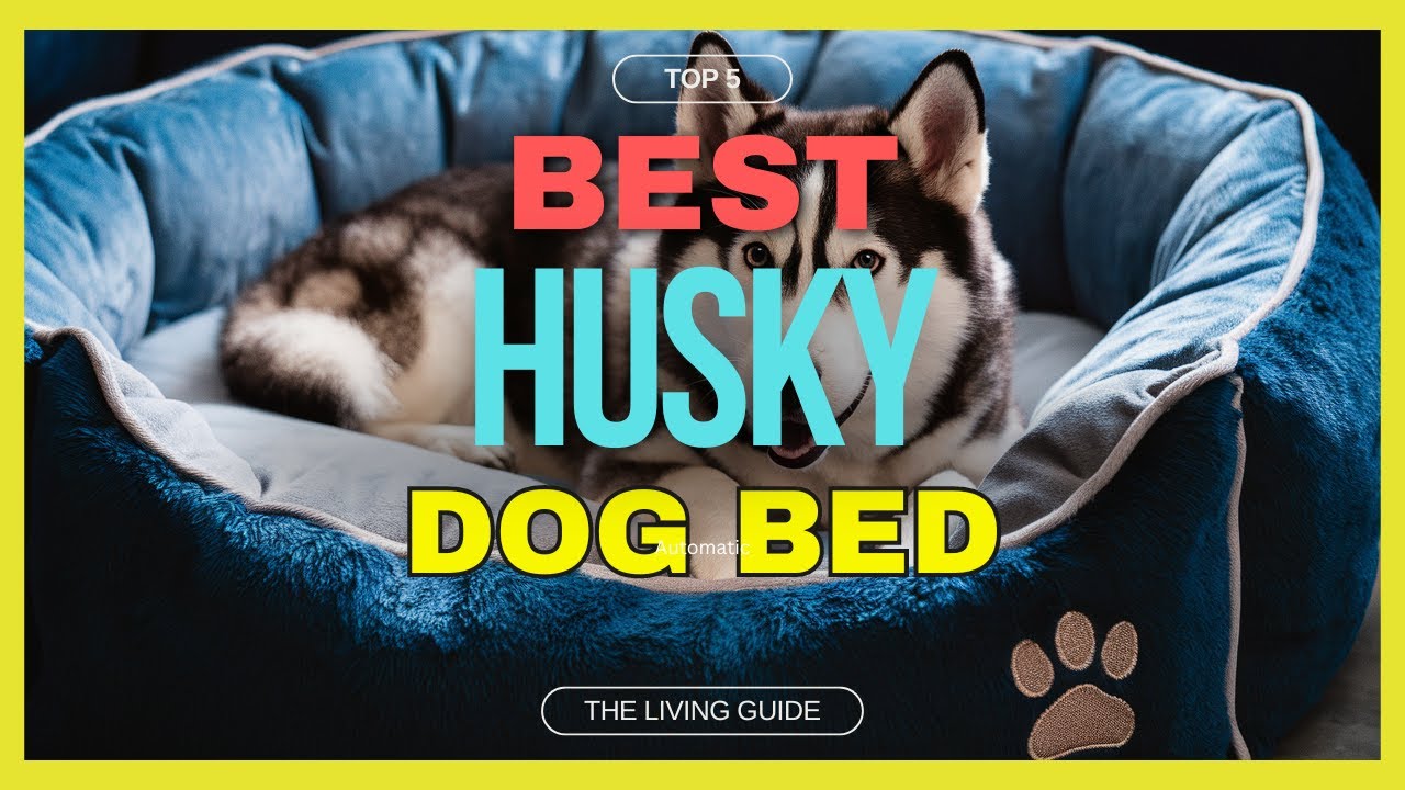 🔥 Best Dog Bed for Husky in 2024 ☑️ TOP 5 ☑️ - YouTube