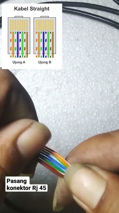 Mudah banget‼️ pasang konektor rj 45 ke kabel Lan/Utp #rj45 #tutorial - YouTube