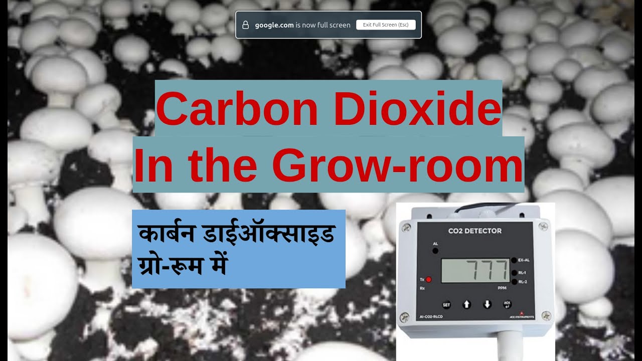 Carbon di oxide(Co2) management in button mushroom farm - YouTube
