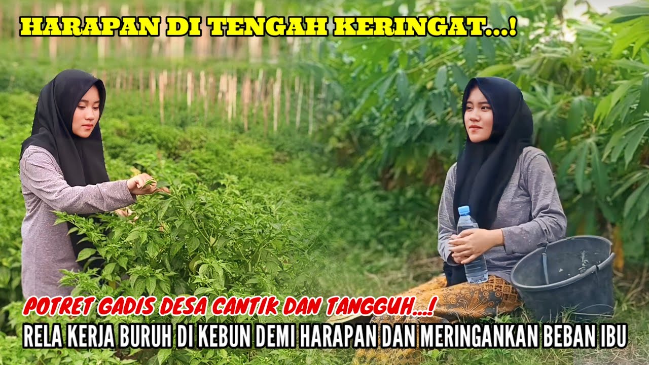 HARAPAN DI TENGAH KERINGAT POTRET GADIS DESA CANTIK DAN TANGGUH RELA KERJA BURUH DEMI SEBUAH ...