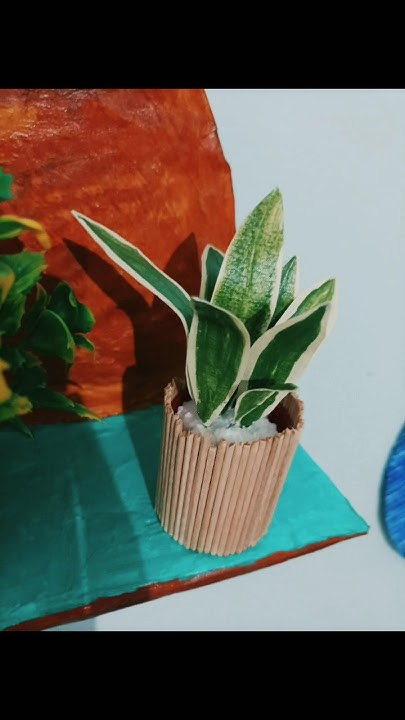 Masking tape reuse... Snake plant - YouTube