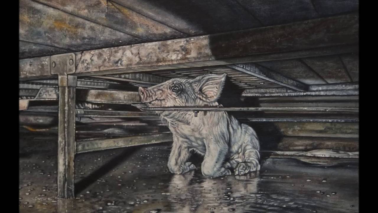 The Pig Project 1 - The forgotten - YouTube