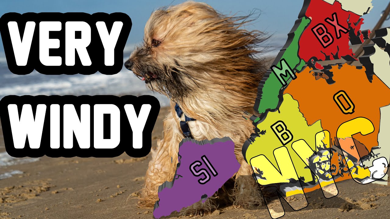 march 29 - windy day but sunny - YouTube