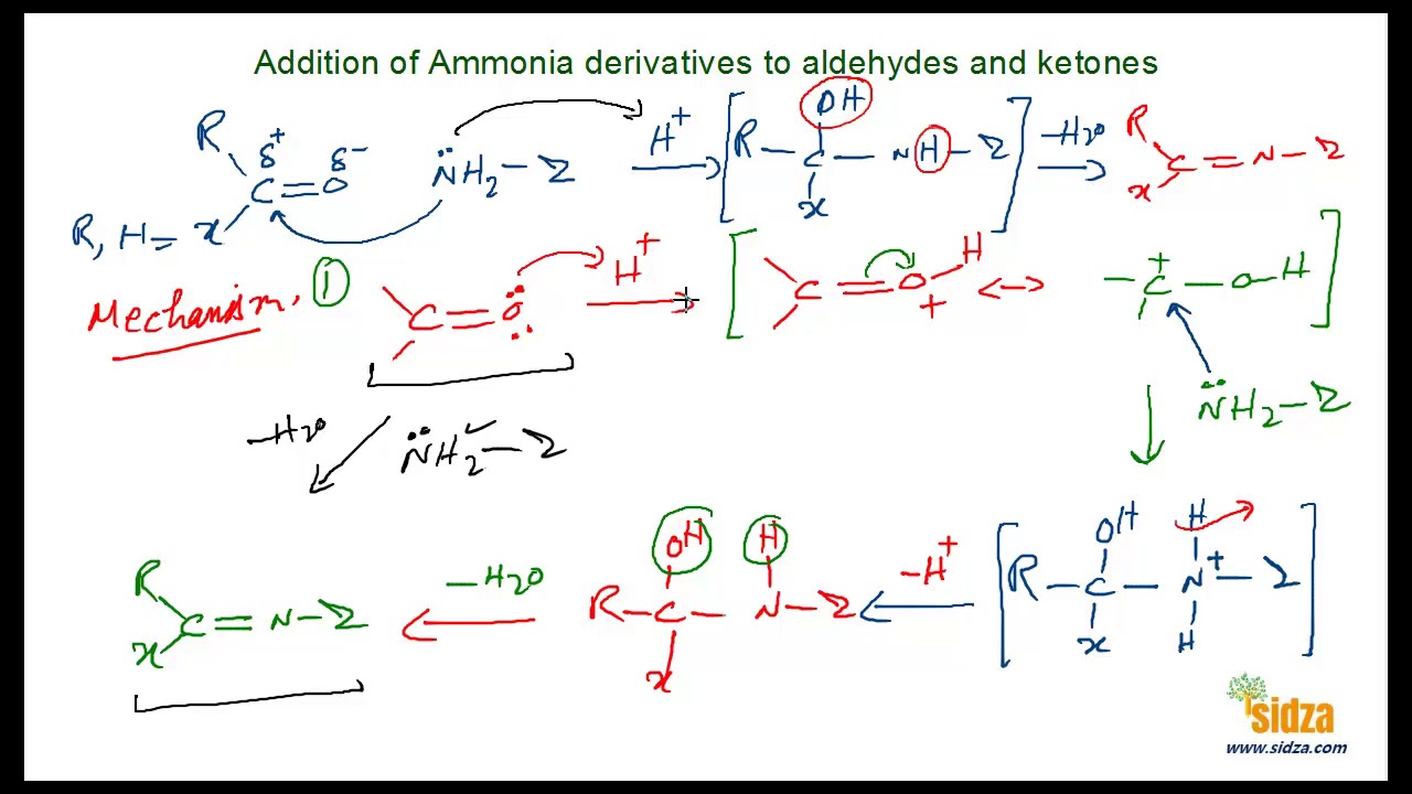 Addition of Ammonia derivatives to Aldehydes and Ketones - YouTube