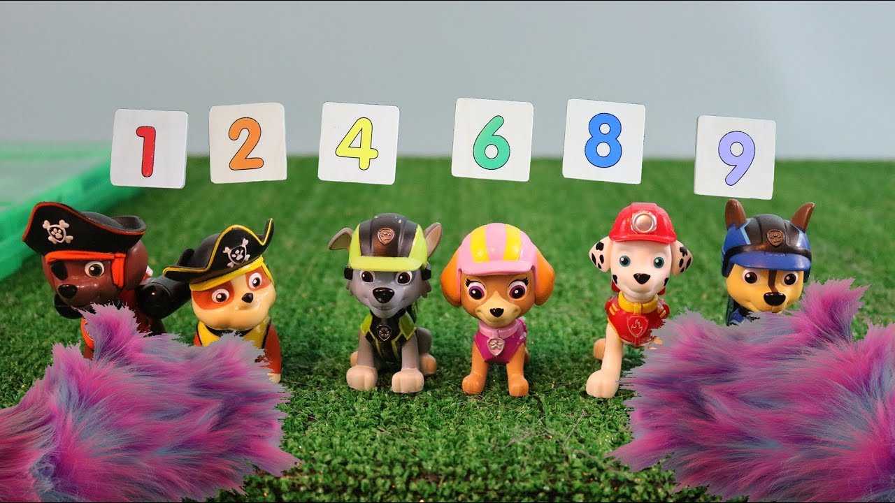 Paw Patrol Learning Numbers Colors and Shapes video for kids - YouTube