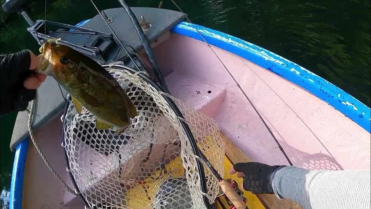 ワイルドサイド WSS 61ULの使い初め ダウンショットリグで根掛かりしない！ - YouTube