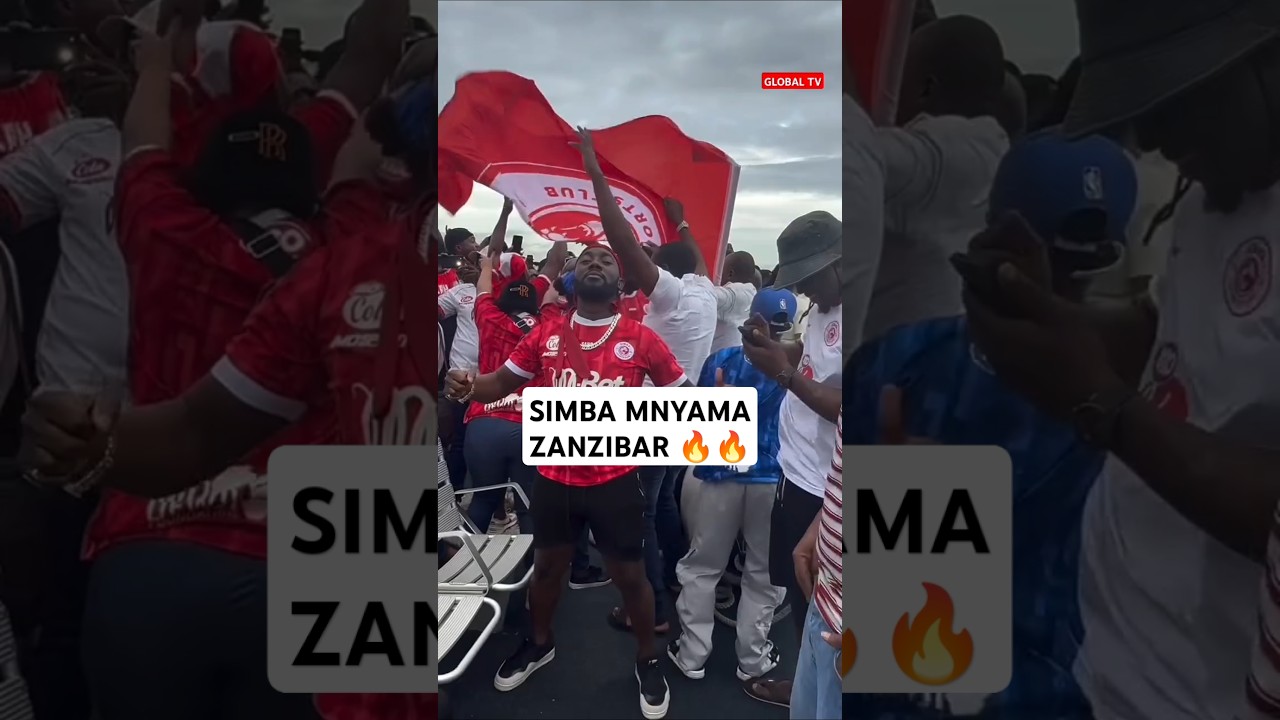 SIMBA MNYAMA ZANZIBAR🔥🔥... #simba #shortsvideo #trendingshorts - YouTube