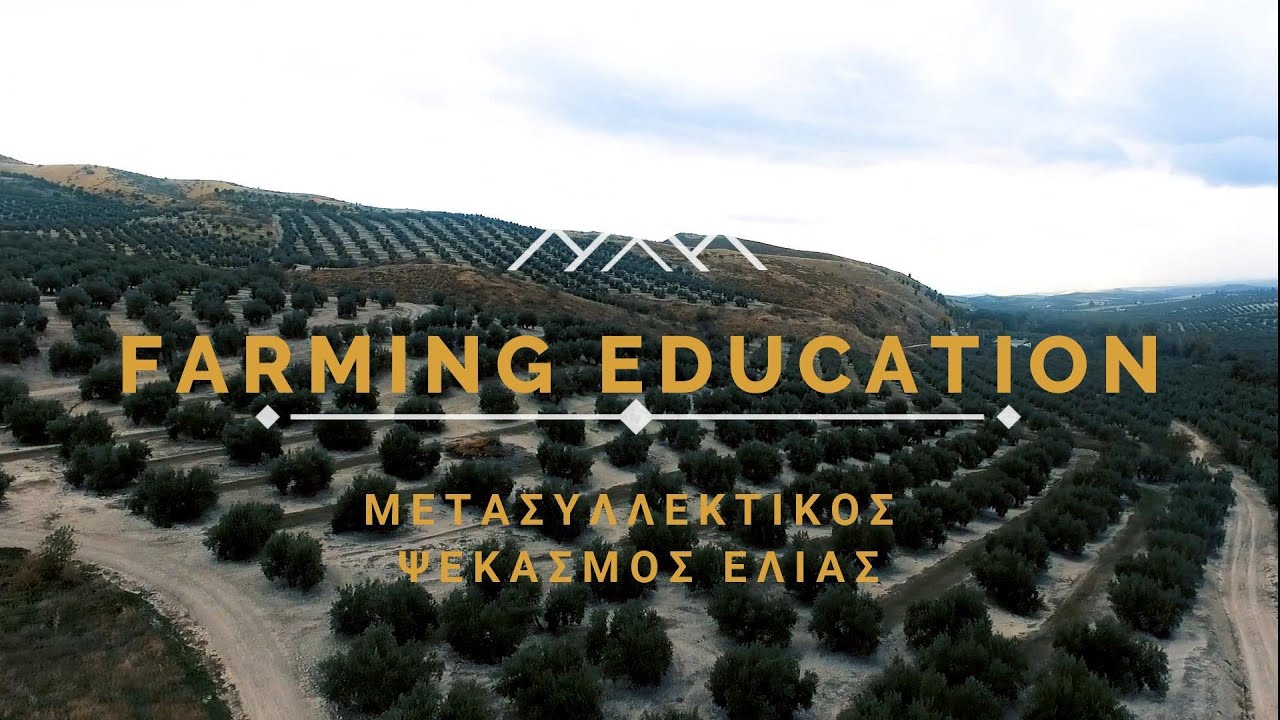 ΜΕΤΑΣΥΛΛΕΚΤΙΚΟΣ ΨΕΚΑΣΜΟΣ ΕΛΙΑΣ - YouTube