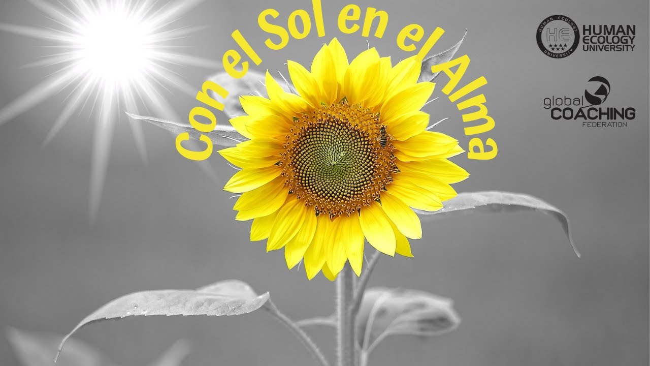 Con el Sol en el Alma. Conversación poderosa con Guadalupe Marrufo ...