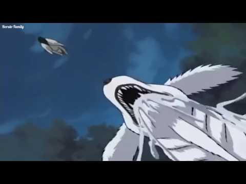Akamaru vs Naruto and Kiba