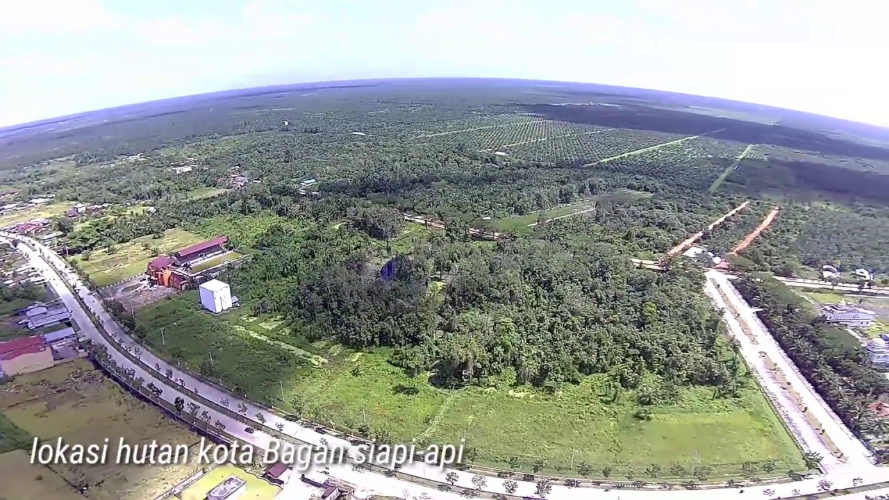 Drone : Hutan kota Bagansiapiapi tahun 2020 - YouTube