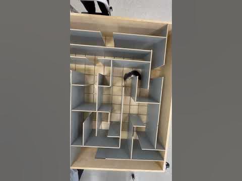 Maze #2 - YouTube