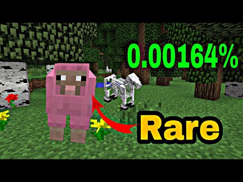 Minecraft Rare mobs - YouTube