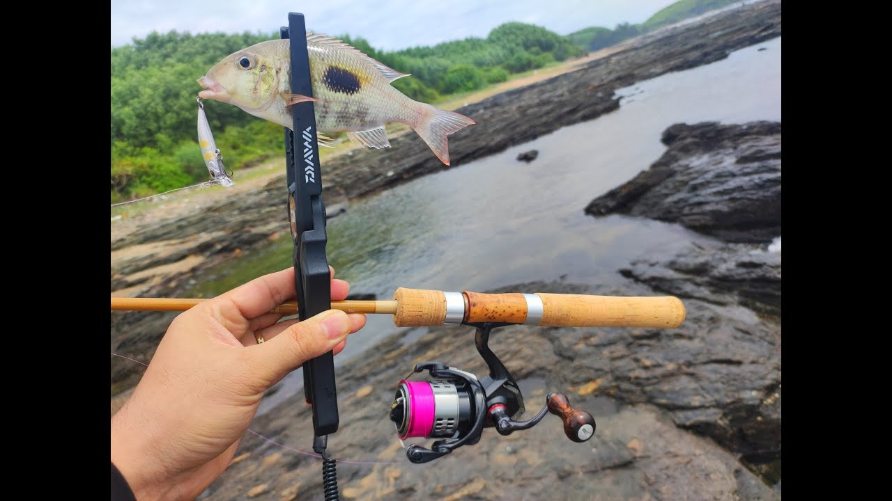 Trải Nghiệm Lure Biển Với Cần UL | How to Lure Emperor Fish | Sea Shore ...