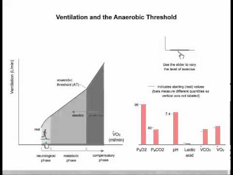 Ventillation and the Anaerobic Threshold - YouTube