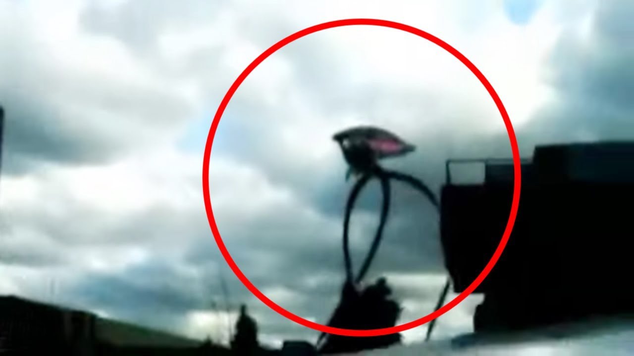 5 TRIPOD CAUGHT ON CAMERA & SPOTTED IN REAL LIFE! - YouTube