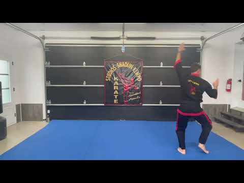 Shaolin Kempo Karate Pinion 4