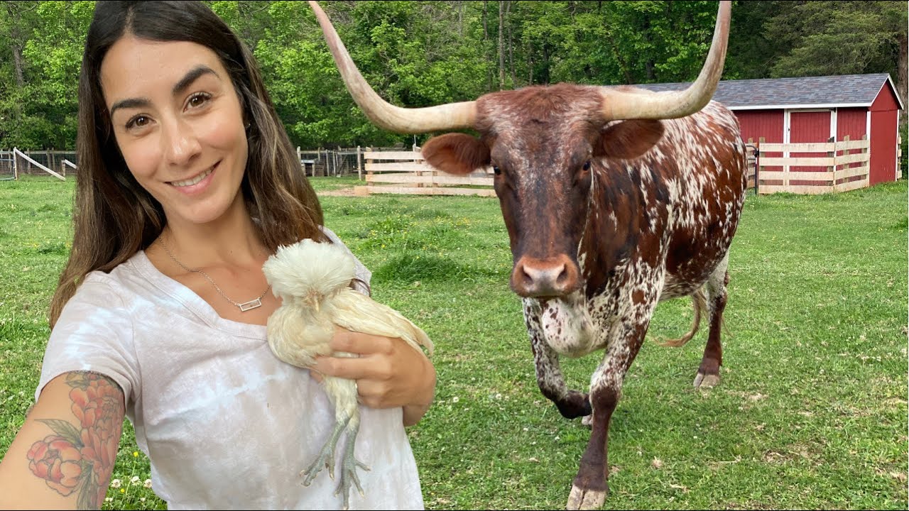 Soooo many things are happening on the honeystead…. Come see our babies ...