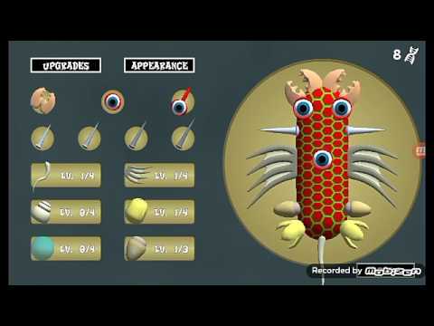 Evolution Simulator 2 #2 - YouTube