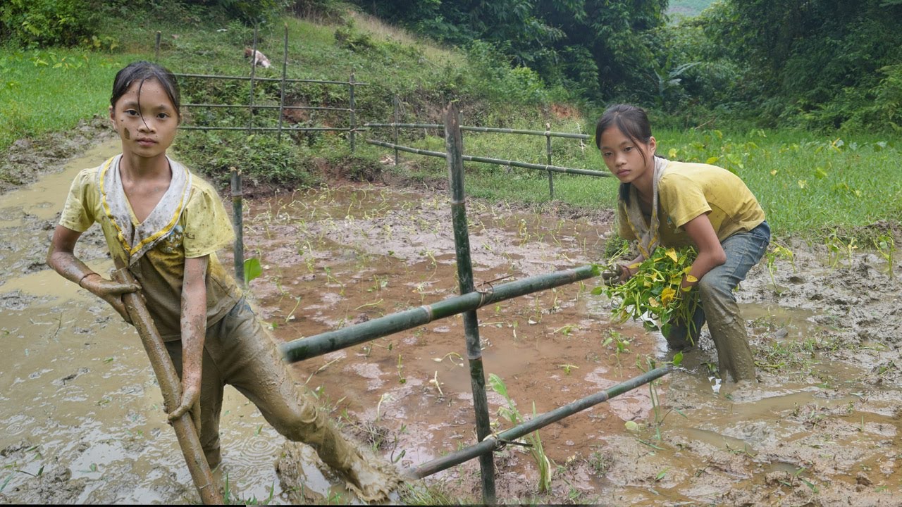 Poor girl hoe in the mud to gardening, growing vegetables - Build ...