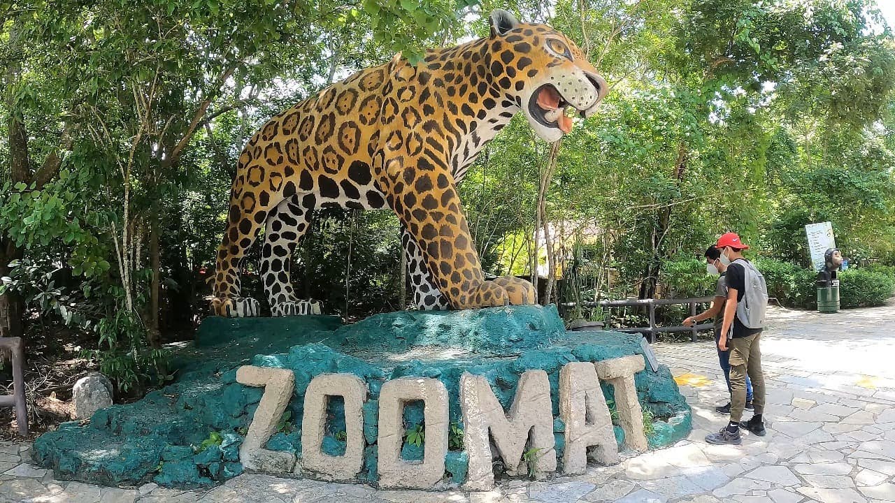Zoológico Miguel Álvarez del Toro, Chiapas - YouTube