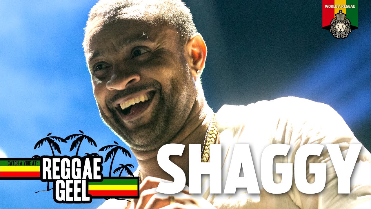 Shaggy Live at Reggae Geel 2015 - YouTube