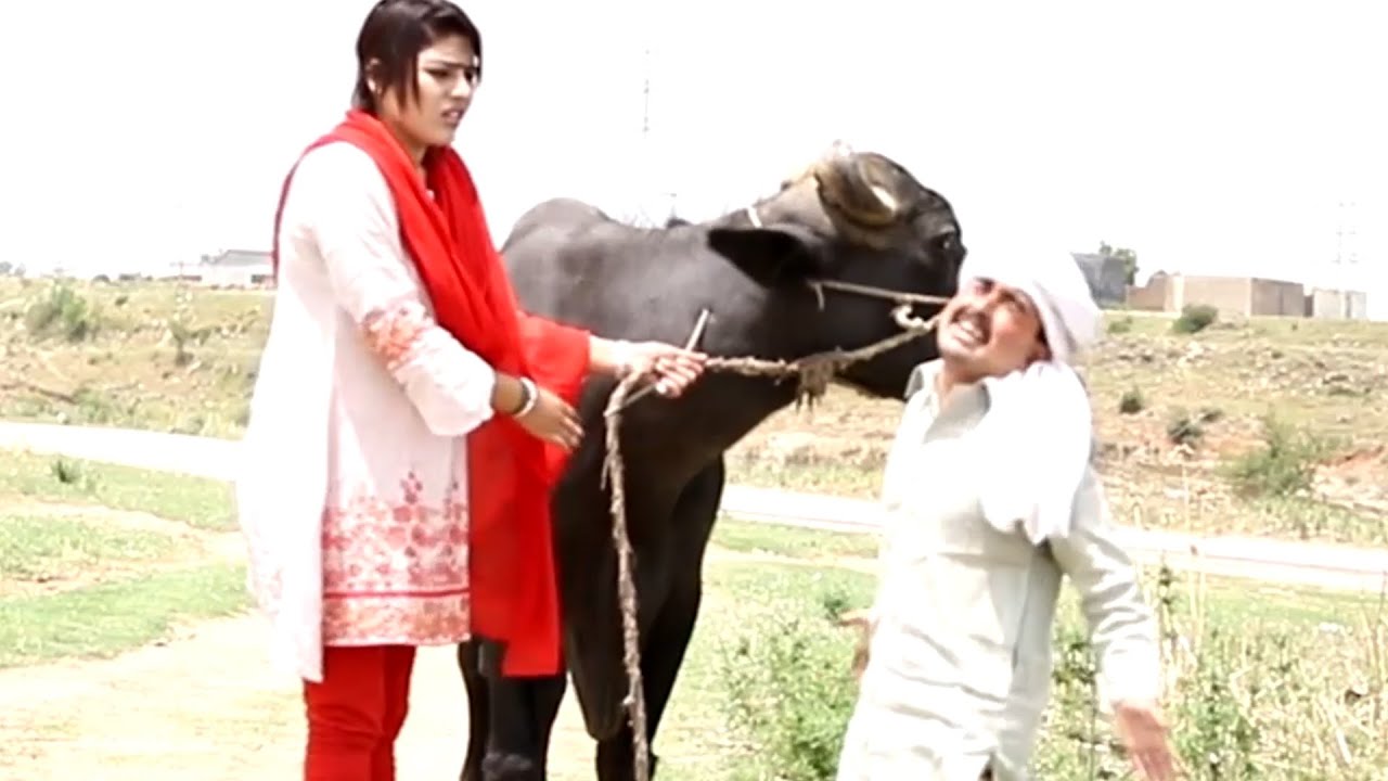 Tu Muj Sy shadi karay Gee - Number Daar funny drama - Punjabi Funny Drama - Pothwar One - YouTube