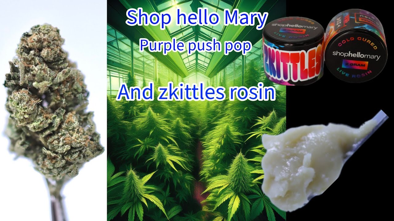 Shop hello Mary review - YouTube